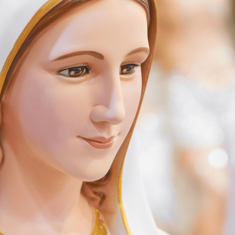Solemnity of Mary – Feast of the Immaculate Conception – St Joseph Church